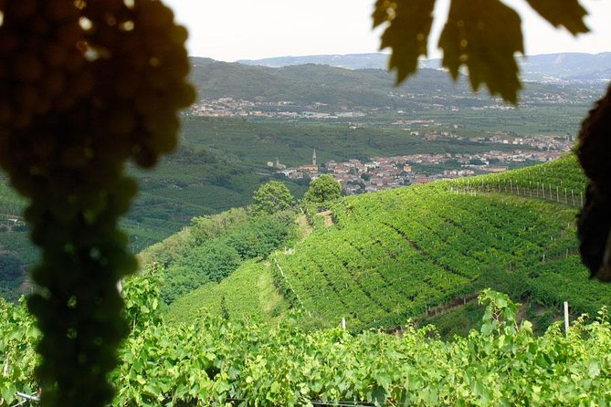 Amarone-Soave wine tour. Visit Verona. From Venice - Key Points