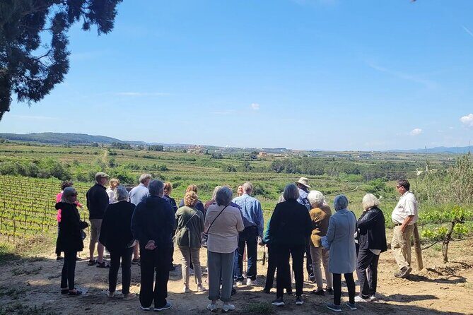 Amarone Wine Tour with 2 Wineries Lunch and Private Transfer