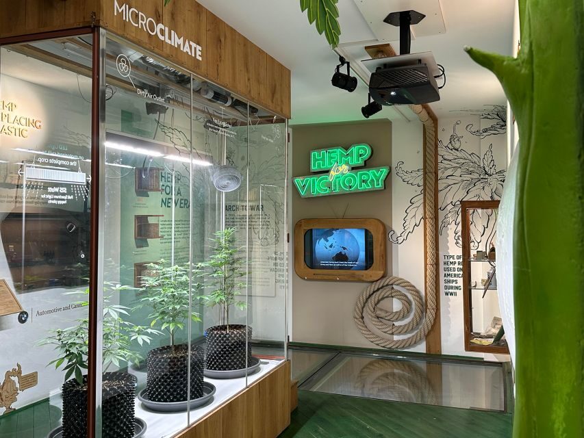 Amsterdam: Cannabis Museum Entry Ticket - The Sum Up