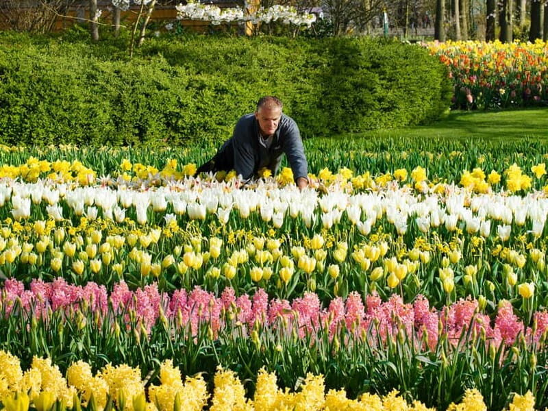 Amsterdam: Keukenhof Entry & Shuttlebus with Flexible Return