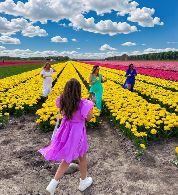Amsterdam: Tulip Fields Day Tour with Lunch & Windmill