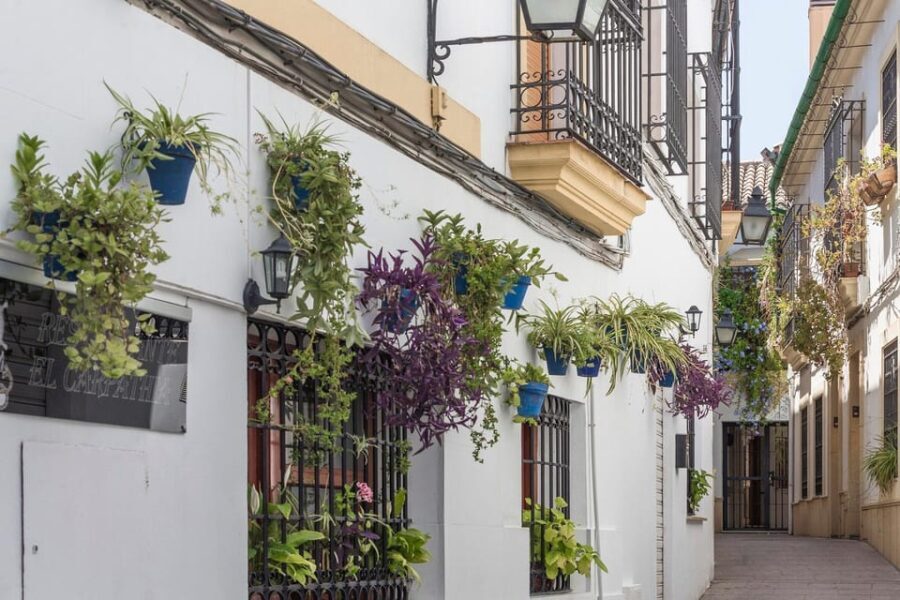 Andalusia Express from Madrid 4 Day tour