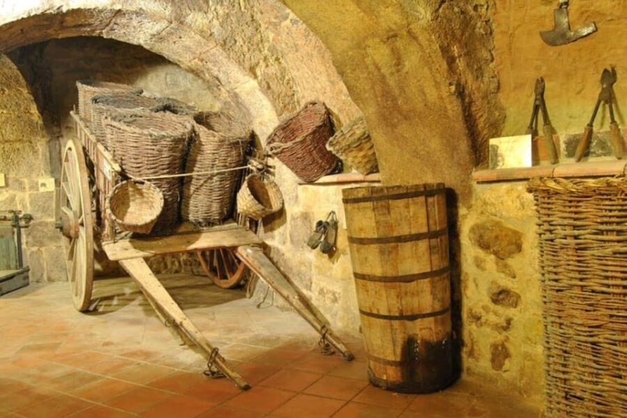 Aranda de Duero: Tour of Underground Cellar and Wine Museum - What to Expect: A Closer Look at the Itinerary