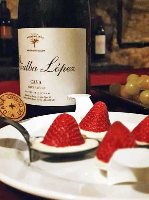 Aranda de Duero: Wine Pairing Tasting Course & Mini Tapas - Why This Tour Stands Out