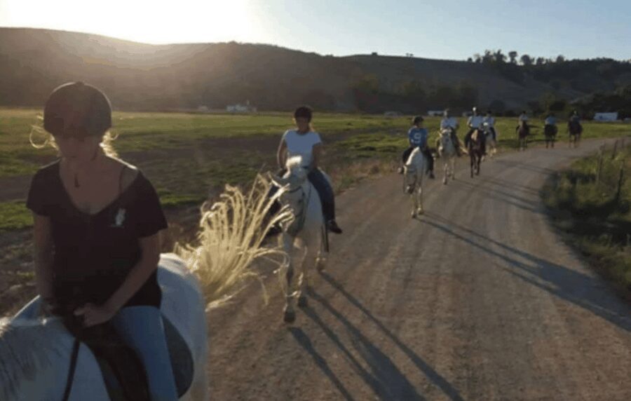 Arcos de la Frontera: Horseback Riding Experience