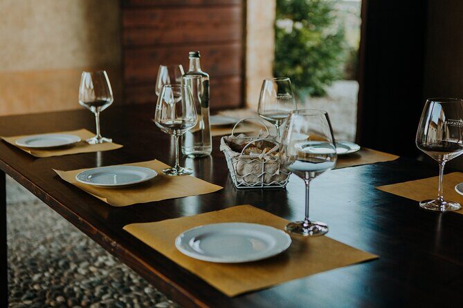 Art & Wine Experience in Valpolicella at Palazzo Montanari - Overall Experience: Who Will Love It?