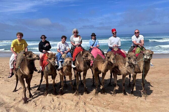 Authentic Private Tangier Tour from Estepona Camel Ride & Lunch