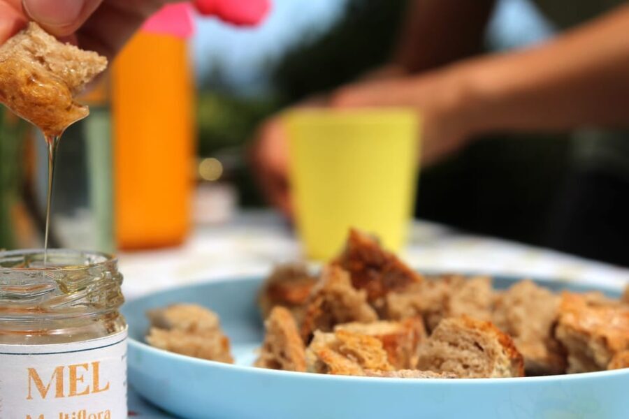 Azores Beekeeping Tour and Honey Taste - A Closer Look at the Tour Itinerary