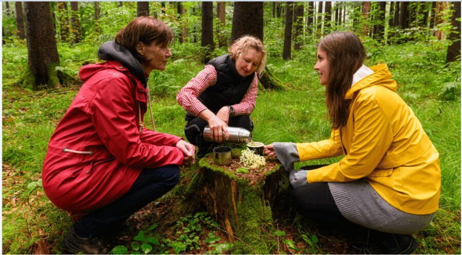 Bad Wörishofen: Shinrin-Yoku  Forest Bathing