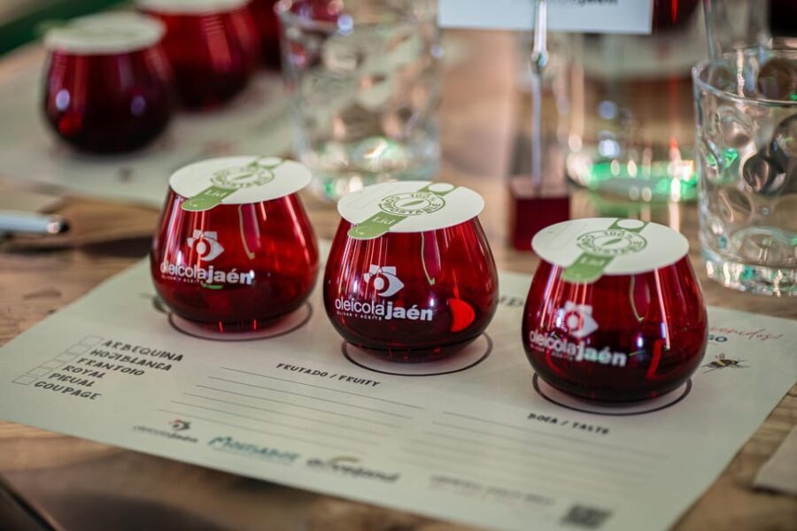 Baeza: Olive Oil Mill & Tasting at AOVEland - Price and Value