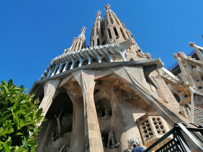 Barcelona: Park Güell Skip-the-Line Guided Tour - Exploring Gaudí’s Wonderland: What to Expect