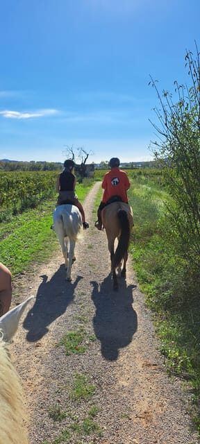 Barcelona: Penedès Vineyard Horseback Ride with Wine Tasting - The Itinerary: What to Expect and Why It Matters