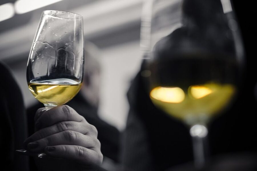 Barcelona Wine Tasting: Catalan and Spanish Wines - What Makes the Wines Special?