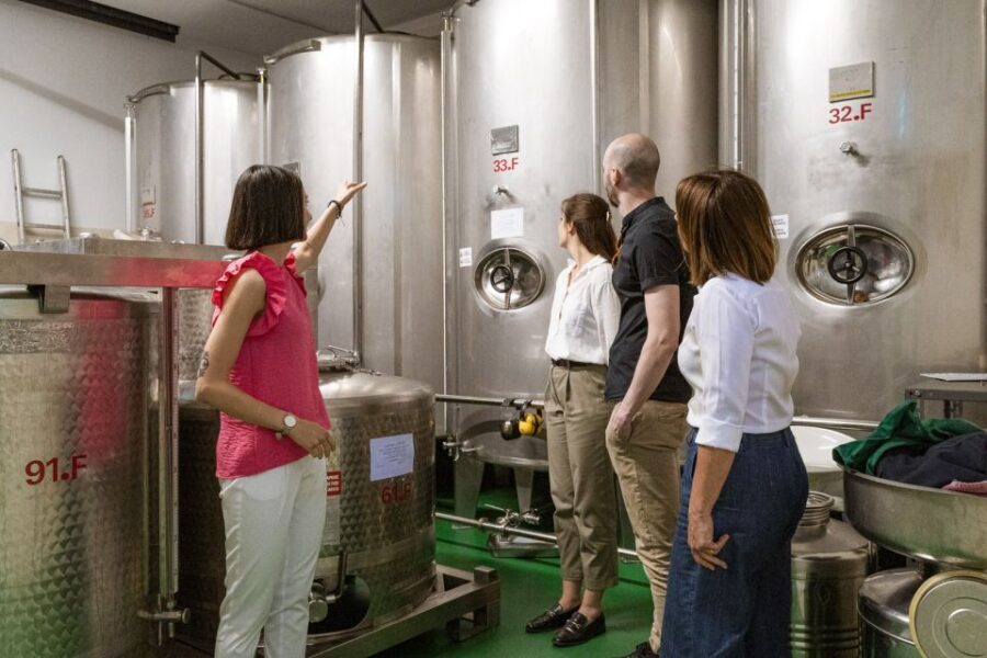 Bardolino: Lake Garda Oil Mill Tour with Olive Oil Tasting