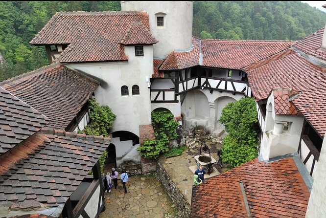 Bears Sanctuary, Dracula's Castle and Braov City - Private Tour - Key Points