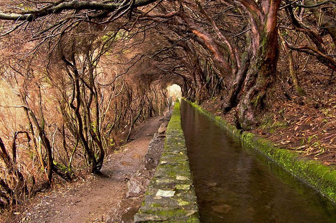 Beautiful walks in Rabaçal, Madeira - Exploring the Itinerary and What You Can Expect