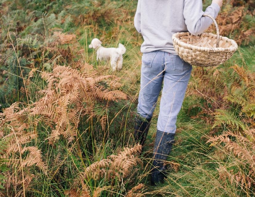 Beginner Foraging Walk: Wild food walking tour & tasters