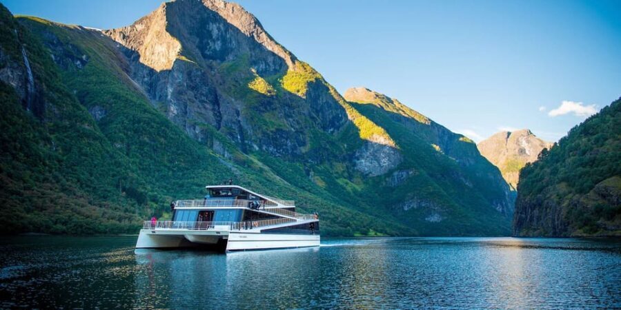Bergen: Nærøyfjorden, Flåm, and Stegastein Guided Bus Tour