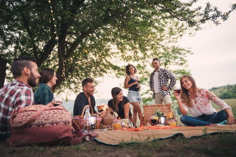Bernkastel-Kues, Moselle: Bicycle picnic boat tour with wine tasting