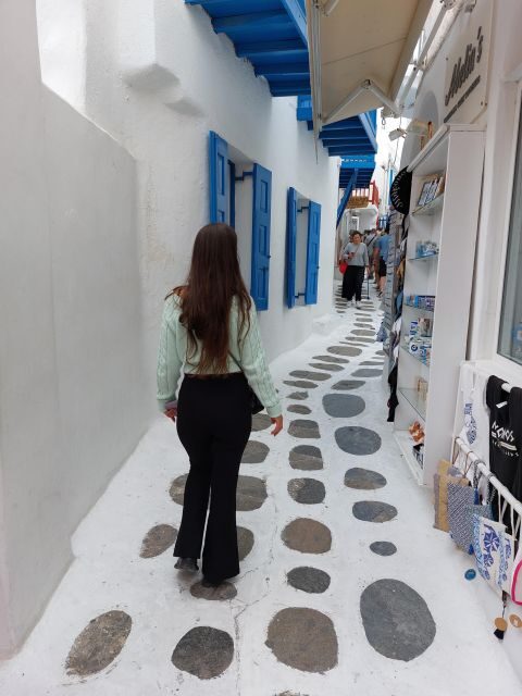 Best of Mykonos island 4 hours private tour