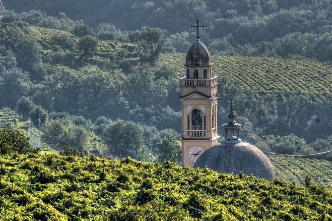 Bike Station Valpolicella: E-bike tour & Amarone Tasting