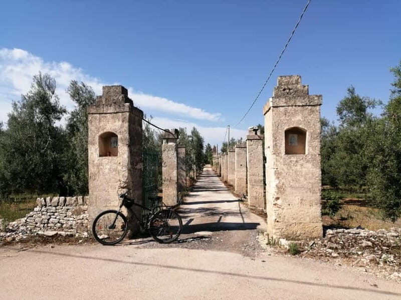 Bike tour in Trani + visit to olive grove and evo oil tasting
