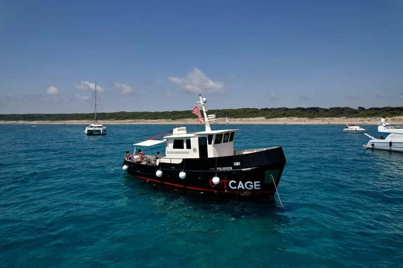 Boat tour Golfo Aranci: Tavolara and Molara Marine Protected Area