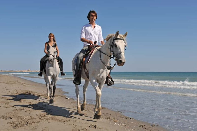 Bodrum: Horseback Riding Experience with Hotel Transfer