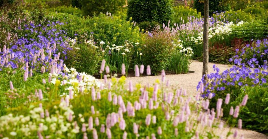 Bridgewater: Royal Horticultural Society Garden Ticket