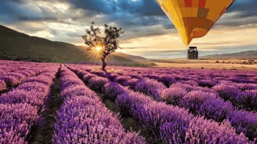 Brihuega: Balloon Flight Above Lavender Fields - The Landing and Celebration