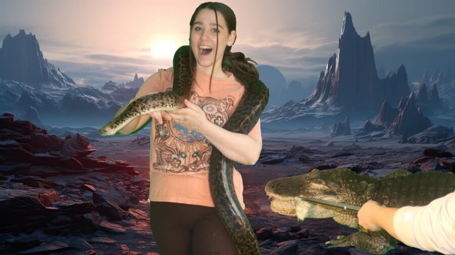 Bristol: Big Snake Experience for Two People - Final Reflections