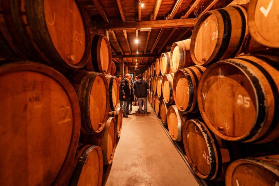 Brussels: Discover Belgium's Breweries with a Local