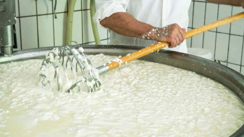 Burgos: Sardinian pecorino cheese workshop