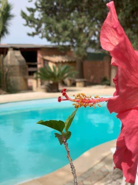 Cagliari: Workshop di pasta fresca tradizionale sarda