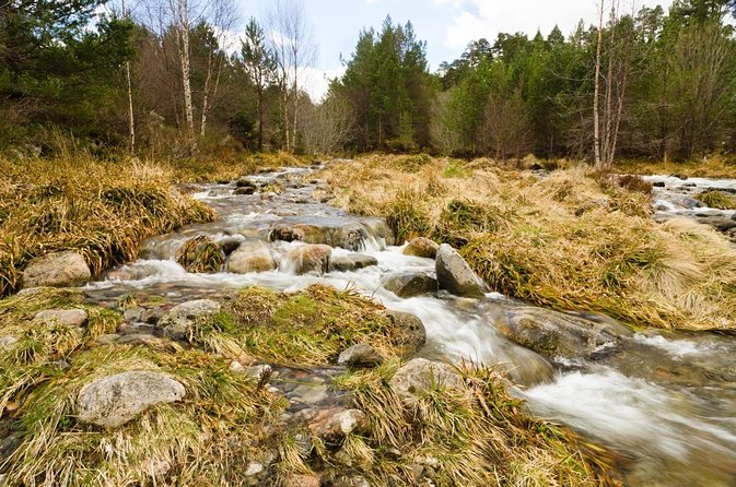 Cairngorms & Whisky Day Tour from Inverness Including Admission - Starting Point and Transportation