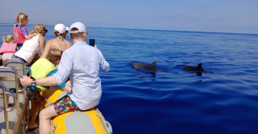 Can Picafort: Dolphin Watching Boat Tour with Swimming