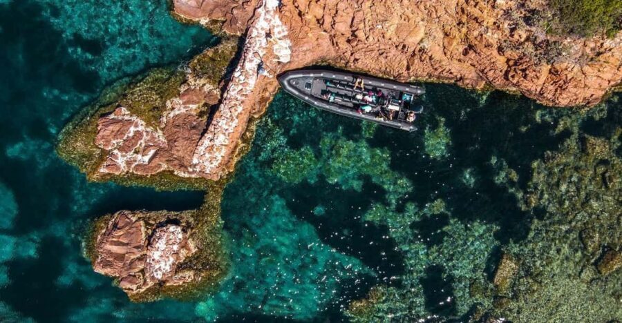 Cannes: 2.5-Hour Esterel Calanques Boat Excursion