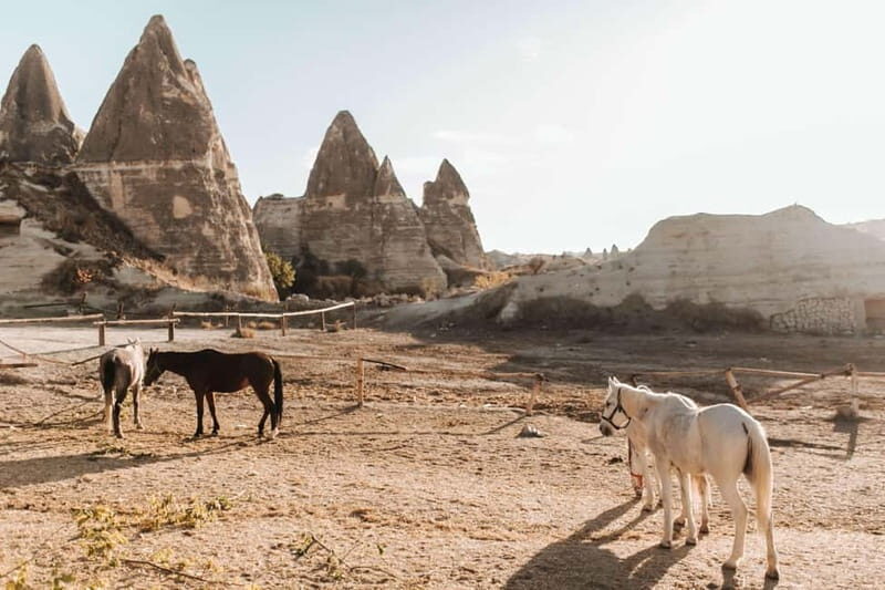 Cappadocia: Horse Riding Tour with Hotel Transfer