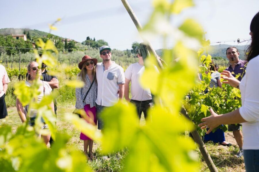 Castiglion Fiorentino: Tour, Tasting & Charcuterie Board