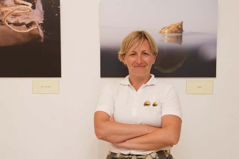 Cavtat: Shell Museum Private Guided Tour