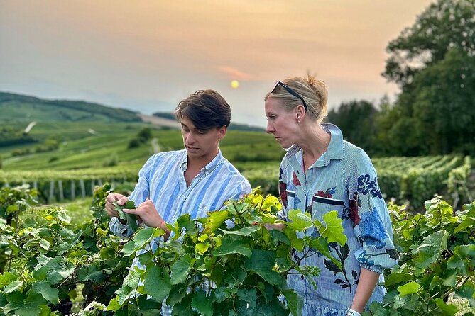 Champagne Private Wine Day Trip with Lunch and Wine Tastings - An In-Depth Review of the Champagne Private Wine Day Trip