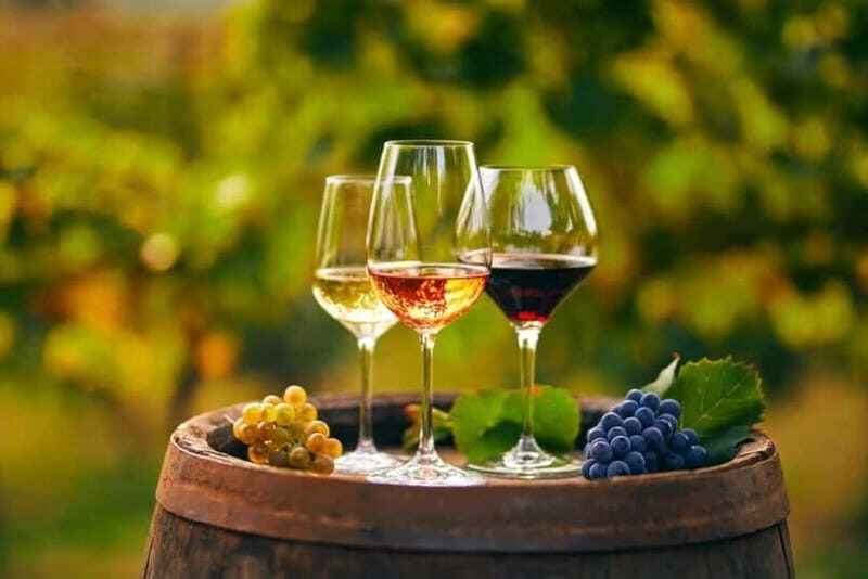 Chania Area: Food Tasting Tour with Winery Visit & Swim Stop