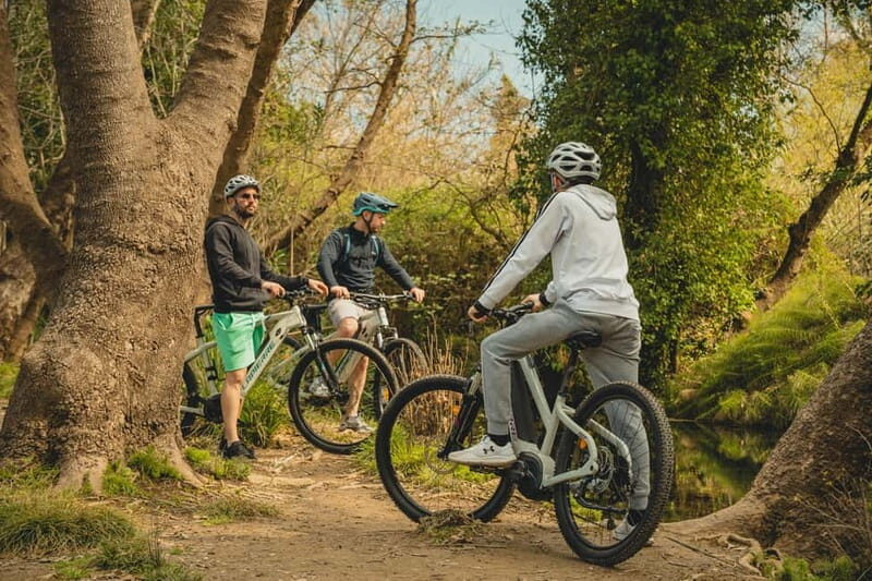 Chania: E-bike tour in Nature