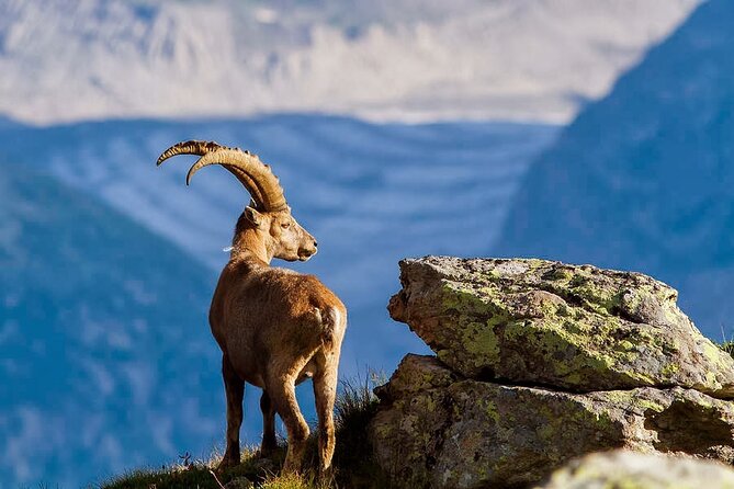 Chania Nature & Villages, White Mountains & Unique Cretan Lunch - Exploring the Heart of Crete: Chania Nature & Villages, White Mountains & Unique Cretan Lunch