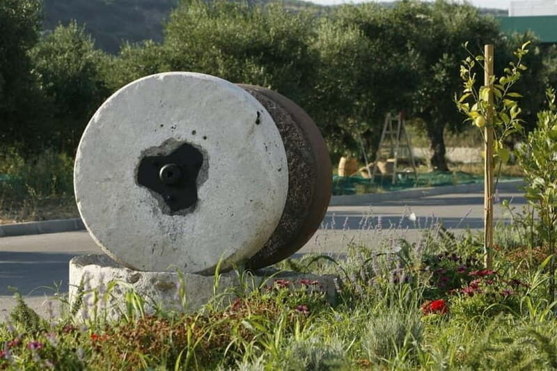 Chania: Pure Cretan Olive Oil, Wine, & Beer Experience