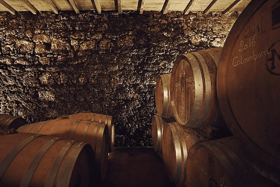 Château Arton Guided Tour and Armagnac Tasting
