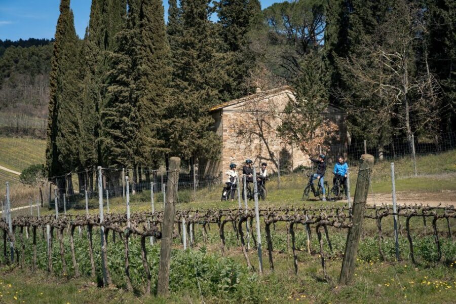 Chianti Classico: e-bike tour with lunch and tastings - Practical Details & What You Need to Know