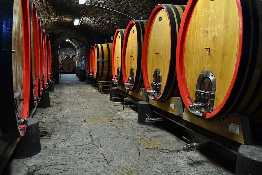 Chianti Rufina: Wine Tour in Castle & Historical Villa