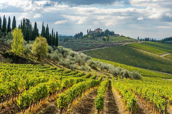 Chianti Wine Tour - Private Wine experience in Tuscany Countryside - Exploring the Charms of the Chianti Wine Tour – A Private Experience in Tuscany