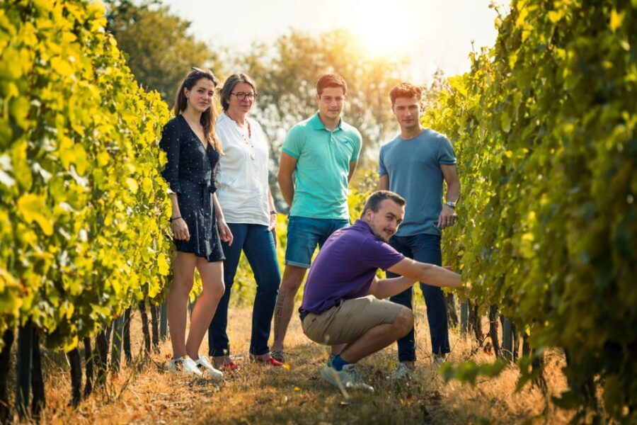 Chinon : Prestige Tours and Wine Tasting
